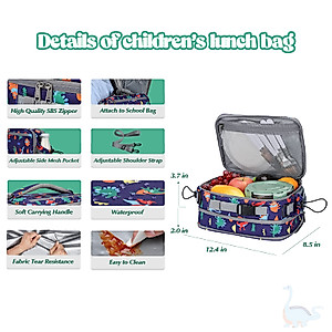 Maelstrom Lunch Box Kids,Expandable Kids Lunch Box,Insulated Lunch Bag for Kids,Lightweight Reusable Lunch Tote Bag for Boy/Girl,Suit for School/Picnic,9L,Dinosaur