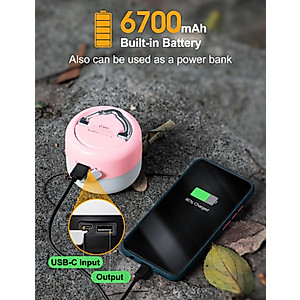 ZMNT LED Camping Lantern Rechargeable 1000LM, Up to 320H Running Time Camping Tent Light, 6700mAh Emergency Light for Hurricane, Power Outages, Home, Hiking, Water-Resistant Pink