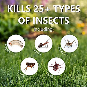 Jonathan Green (11924) Grub & Insect Control - Lawn Insect Killer (10,000 Sq. Ft.)