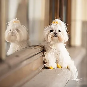 The Thoughtful Brand 50 Pcs Dog Bows with Rubber Bands (25 Pairs) - Durable Dog Hair Bows That Won’t Pull Your Dog’s Hair - Premium Dog Bows Girl Plus Bonus Grooming Comb, Cuter and better