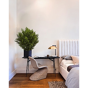 momoplant —24Inch/2 FT Outdoor Artificial Boxwood Garden Torch Shaped Topiary Tree Artificial Topiaries Bushes Potted Fake Plants Outdoor/Indoor Decor（Set of 2）