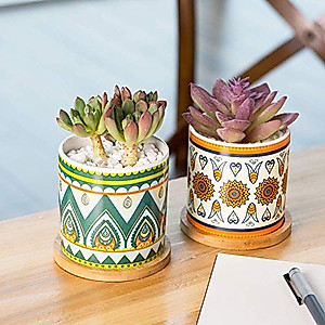 COLOAPT Succulent Plant Pots - 3.1 inch Ceramic Succulent Planter -Cylinder Flower Pots for Cactus with Drainage Hole and Bamboo Tray, 6 Pack (Multicolor1)
