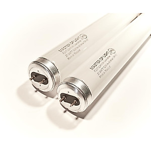 F20T12/CW (2 Pack) 24 Inch 20 Watt T12 Fluorescent Tube Light Bulb 20W Cool White 4100K - F20T12 Replaces F20T12/SP41/ECO, F20T12/CW/ECO, F20T12/CW/ALTO (2)