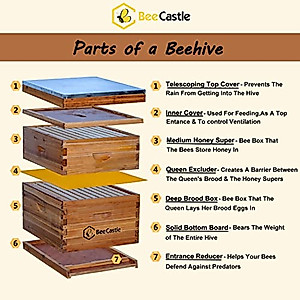 BeeCastle 10-Frames Complete Beehive Kit, 100% Beeswax Coated Bee Hive Includes Beehive Frames and Beeswax Coated Foundation Sheet (2 Layer)