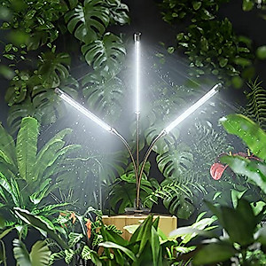 BAEDAOD Grow Lights for Indoor Plants, 6000K 135 LEDs Grow Light for Seed Starting with Full Spectrum, Clip Plant Lights with Flexible Gooseneck，3/9/12H Timer, 10 Dimmable Levels, 3 Switch Modes