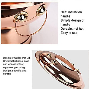 Chafing Dishes Chinese Traditional Old Beijing Charcoal Copper Hot Pot, Pot Shabu, Camping Home Use，Cook Cooking for Unusual Gift (Color : Brass, Size : 30cm)