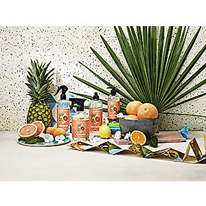 Caldrea Hand Soap Refill, Aloe Vera Gel, Olive Oil And Essential Oils To Cleanse And Condition, Tangelo Palm Frond Scent, 32 Oz