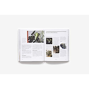 The New Plant Parent: Develop Your Green Thumb and Care for Your House-Plant Family