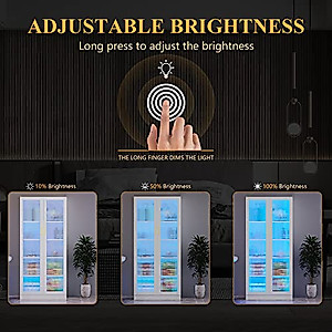 Dystler White Storage Cabinets Locker with 3 Color LED Lights,Modern Storage with Human Body Sensor Functionwardrobe Closet for Bedroom