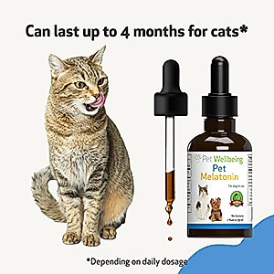 Pet Wellbeing Pet Melatonin for Cats - Vet-Formulated - Support for Feline Hyperthyroid, Natural Relaxant, Sleep Support - Liquid Supplement 2 oz (59 ml)