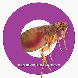 BOP Bed Bug, Flea and Tick Killer, 16.5 oz, Easy to Use Pest Control Spray, Kills Bugs On Contact and Keeps Your Home Insect Free, Indoor/Outdoor Use for Quick Results