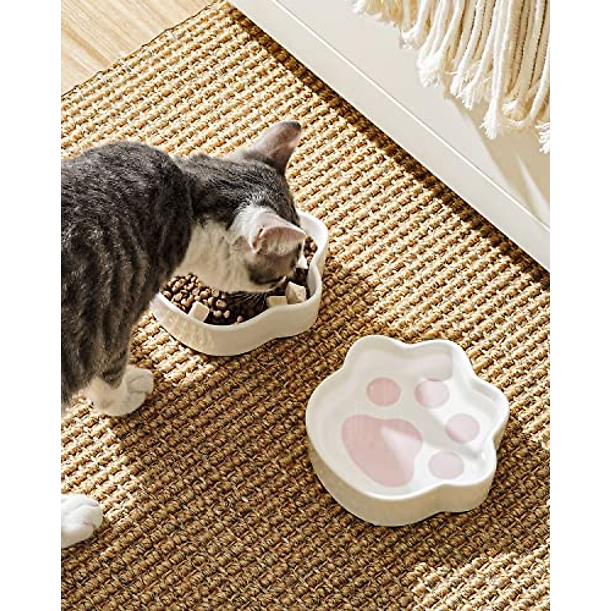 LE TAUCI Cat Bowls Ceramic, Small Cat Dishes, 8 Oz Shallow Cat Food Bowls for Indoor Cats, Relief Whisker Fatigue Cat Bowls, Cat Water Dish, Cute Paw Shaped Kitten Bowls, Flat Cat Plates