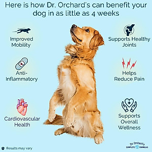 Dr. Orchard's Advanced Hip & Joint Chews - Duck Flavor- (60ct) Pain & Inflamation Relief with Glucosamine, Manganese, Chondroitin, MSM - Dog Chewable Supplement (60 Count)