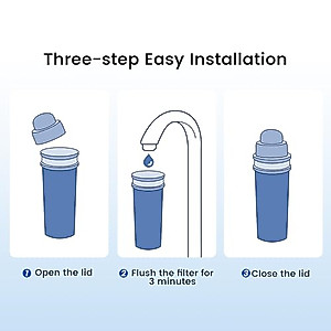 Waterspecialist NSF Certified Replacement Pitcher Water Filter, Replacement for Pur® Pitchers and Dispensers PPT700W, CR-1100C and PPF951K Water Filter (Pack of 4)