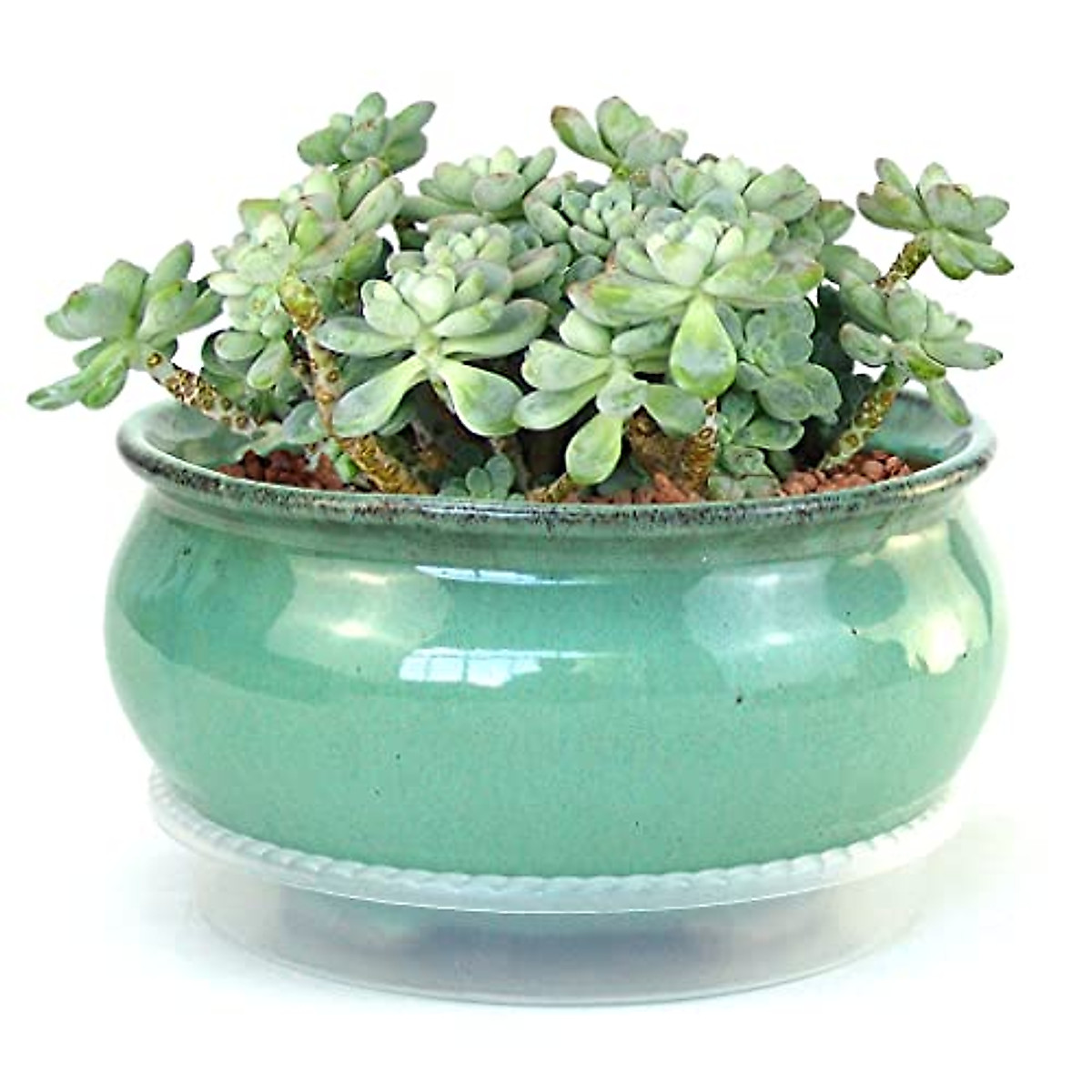 Summer Impressions 7 Inch Glazed Terracotta Plant Pot Round Ceramic Succulent Planter Pot with Drainage and Saucer Cactus Clay Pot Bonsai Pot