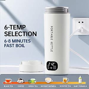 HOWDIANQY Dual Voltage Portable Electric Kettle Travel Hot Water for Tea, Coffee, 6 Temperature Controls and LCD Display, 316 Stainless Steel and 450ml, Auto Shut Off & Boil Dry Protection