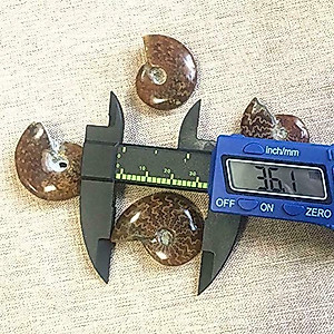 Wixine 2Pcs Natural Iridescent Ammonite Facet Specimen Fossil Madagascar Stone Gem