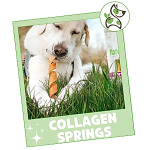 Nature Gnaws Collagen Springs for Dogs (10 Count) - Long Lasting for Small and Medium Dogs - Natural Beef Hide Dog Chew Bones