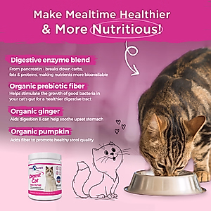 Vital Planet - Digest Cat Digestive Pancreatic Enzyme Blend with Pumpkin and Ginger to Support the Pancreas and Healthy Digestion with Pancreatin, Salmon Flavored Powder for Cats - 111 Grams 30 Scoops