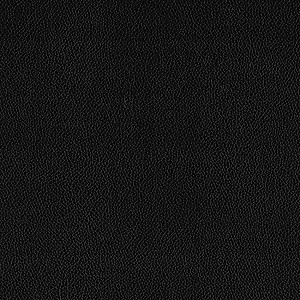 Lexicon Riley Faux Leather Upholstered Daybed, Twin, Black