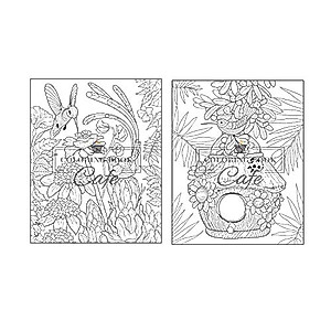 Hummingbird Coloring Book: An Adult Coloring Book Featuring Charming Hummingbirds, Beautiful Flowers and Nature Patterns for Stress Relief and Relaxation