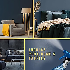 Febreze Touch Fabric Spray, Sneaker Balls Alternative, Couch Cleaner, Refresher Ocean & Mountain, 16.9 oz, Pack of 2,33.8 Fl Oz