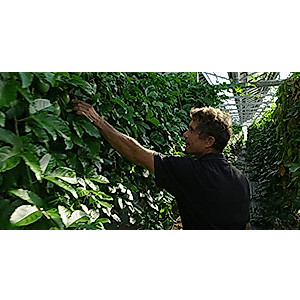 DEMAIN (DVD) (France TV) (French Edition)