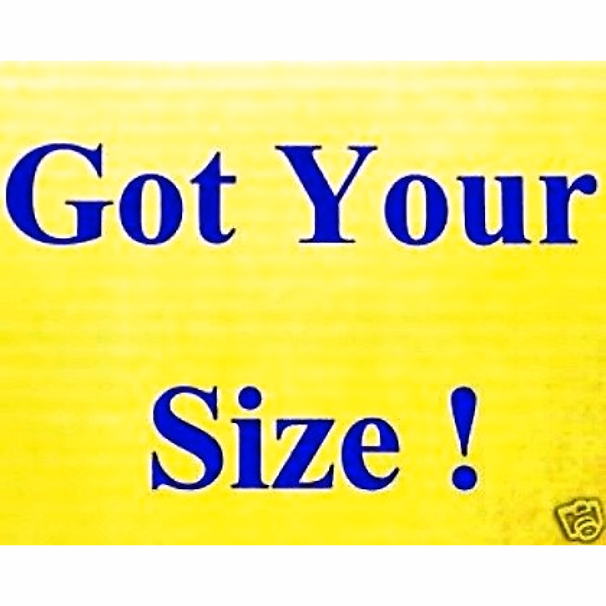 Nextron Products Hunter 30930 Air Purifier Filter (2 Pack) Generic + 4 pre Filters