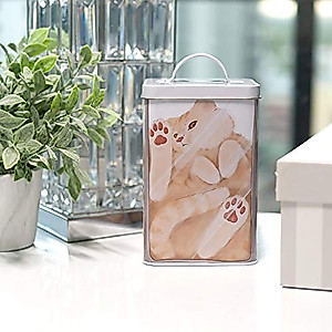 Cat In A Box Storage Tin | Metal Food Storage Container | Perfect For Cat Treats