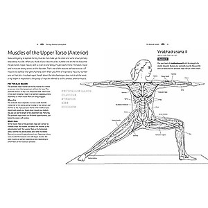 Yoga Anatomy Coloring Book: A Visual Guide to Form, Function, and Movement - An Educational Anatomy Coloring Book for Medical Students, Yoga ... & Adults (Volume 1) (Anatomy Coloring Books)