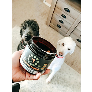 Googipet Premium 10 in 1 Dog Vitamins Multivitamin Chewable w/Dog Probiotics for Gut Health, Dog Vitamins and Supplements w/Vitamin C & Glucosamine for Joint Support (Peanut Butter & Pumpkin Flavor)