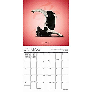 Cow Yoga 2021 Wall Calendar