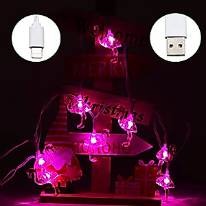 YAGE Tale Pink Flamingo USB Christmas Light Phone Charger Cord Designed for Women 50inch 8LED Compatible with Phone 11,11Pro,11Pro Max,12,12Pro,12Pro Max,13,13Pro,13Pro Max,14,14Pro,14Pro Max etc