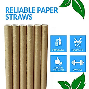 Reli. 400 Pack Paper Straws (Kraft Brown) | Paper Straws for Drinking - Disposable, Biodegradable/Eco-Friendly | Brown Drinking Straws for Crafts, Party Decoration/Supplies, Restaurants, Juice