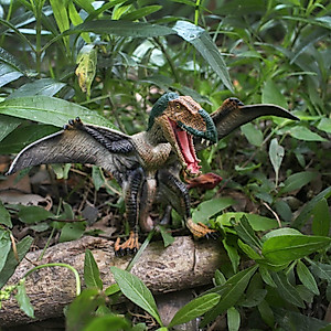 Pterodactyl Dinosaur Action Figures Realistic Flying Toy | Movable Mouth | Pteranodon Dino Toys | Pterosaur Model Toys | Cake Toppers Dinosaur Toys for Boys and Girls