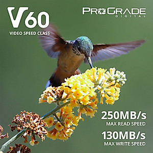 Prograde Digital SD UHS-II 512GB Card V60 –Up to 130MB/s Write Speed and 250 MB/s Read Speed | for Professional Vloggers, Filmmakers, Photographers & Content Curators