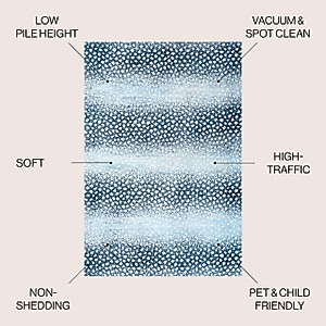 JONATHAN Y SAF100D-5 Antelope Modern Animal Indoor Area-Rug Casual Contemporary Striped Easy-Cleaning Bedroom Kitchen Living Room Non Shedding, 5 X 8, Blue/Cream