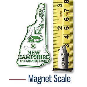 New Hampshire Small State Magnet by Classic Magnets, 1.6" x 2.9", Collectible Souvenirs Made in The USA