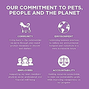 GO! SOLUTIONS Carnivore Grain Free Dry Cat Food, 3 lb - Chicken, Turkey + Duck Recipe - Protein Rich Dry Cat Food - Complete + Balanced Nutrition for All Life Stages