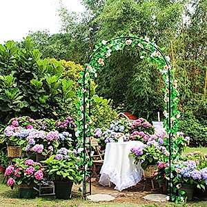 SCENDOR Wedding Arch Garden Arbor Curved Metal Durable Iron Garden Arch Trellis for Climbing Plants Outdoor Ceremony
