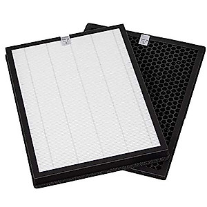 Climestar Premium H13 Grade True HEPA and Pre-Filters Compatible Replacement for Alexapure Breeze Air Purifiers AP-B102 and 3049 filter set