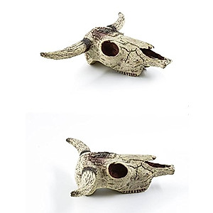 Leoyoubei Aquarium Decoration, Fish Tank Small Skull,Fish Turtle Hidden, Bonsai beautification. Cave Landscape Pet Reptile House Shrimps & Snails Love Them (Cattle Skull)
