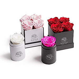 Soho Floral Arts | Roses in A Box | Genuine Roses that Last for Years (White Square 4ct, Radiant Pink) | Mothers Day Gifts