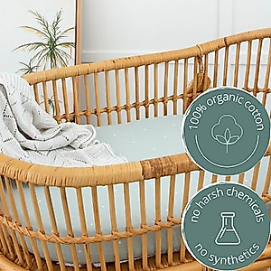 POPPI & MAX 100% Organic Cotton Bassinet Sheets for Boy Girl | 3-Pack Premium Jersey Bassinet Sheet Set | Fitted Baby Sheets for Standard Bassinet Pads | Bassinet Cover | Misty Sage Star Spot Stripe