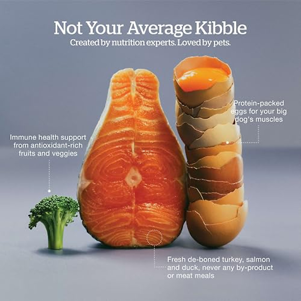 Now Fresh Grain-Free, Dry Dog Food, Real Meat and Fish, Turkey, Salmon and Duck Large Breed Adult Recipe, 12 lb Bag