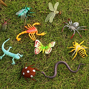 76 Pack Mini Plastic Bug Set, Realistic Insects Toy for Child, Fake Bugs Figure for Kid, Toddler, Insect Themed Party Favors Gift, Cupcake Topper, Education School Classroom reward, Sensory Bin Filler