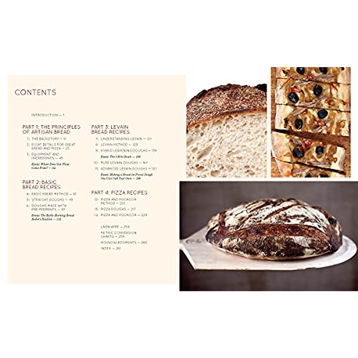 Flour Water Salt Yeast: The Fundamentals of Artisan Bread and Pizza [A Cookbook]