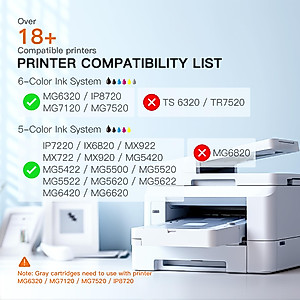 E-Z Ink (TM) Compatible Ink Cartridge Replacement for Canon PGI-250XL PGI 250 XL CLI-251XL CLI 251 XL to use with Pixma IP8720 (1 Large Black, 1 Cyan, 1 Magenta, 1 Yellow, 1 Small Black,1 Gray) 6 pack