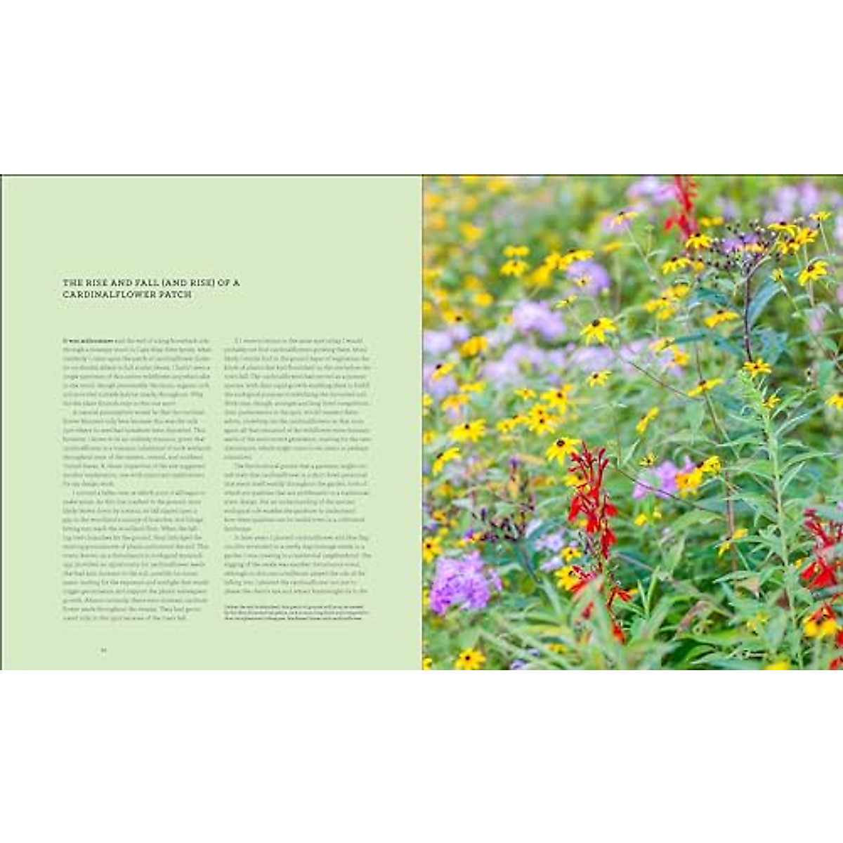 Garden Revolution: How Our Landscapes Can Be a Source of Environmental Change