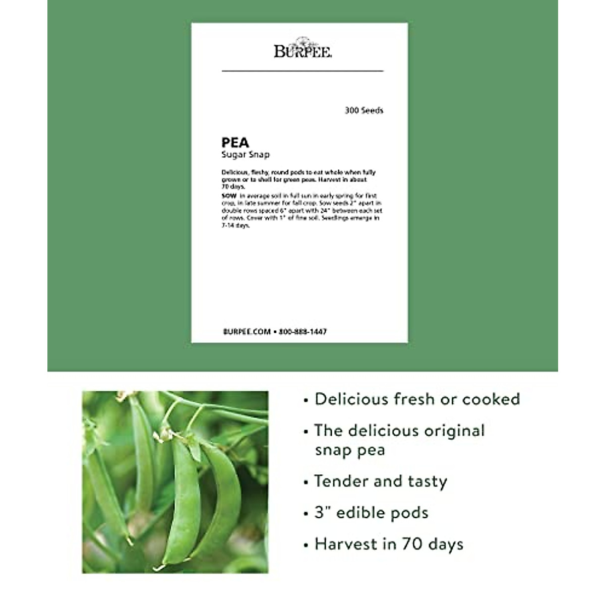 Burpee Sugar Snap Pea Seeds 300 seeds